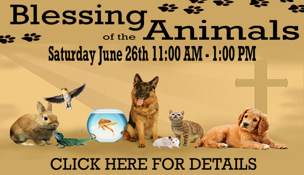 Unity Presbyterian Church